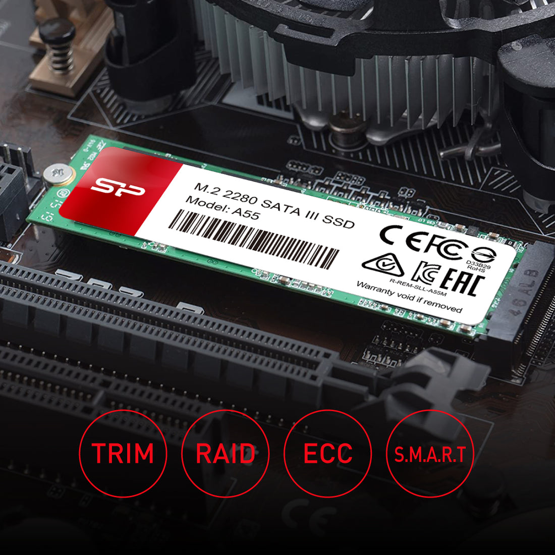 Silicon Power A55 128GB-1TB M.2 2280 SATA III Internal Solid State Dri