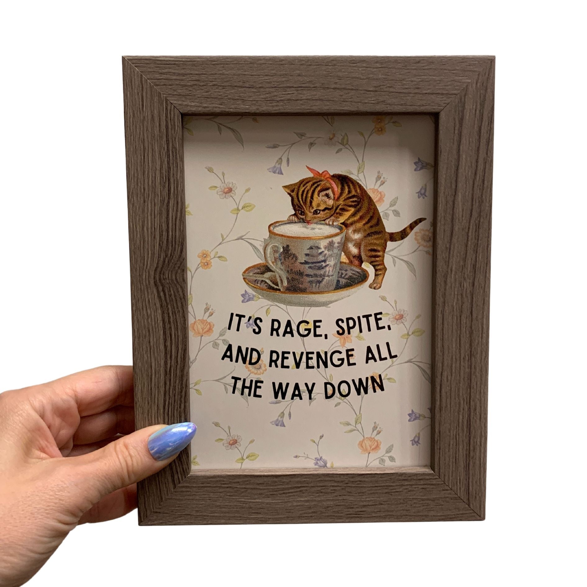 Rage Spite Revenge Vintage Cat Framed Wall Art Print | GetBullish Orig